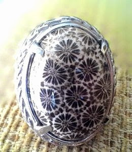 JENIS DAN KHASIAT BATU AKIK TERATAI | REMSTONE