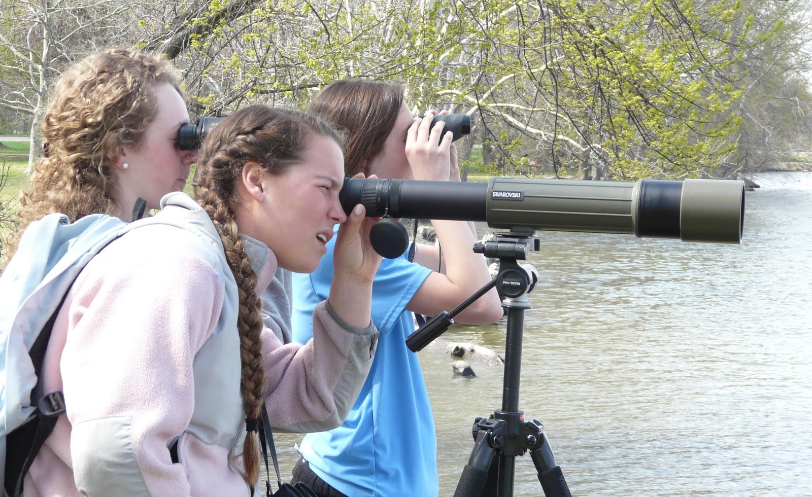 Ohio Wildlife Education Update: Project Based Learning and WILD School ...