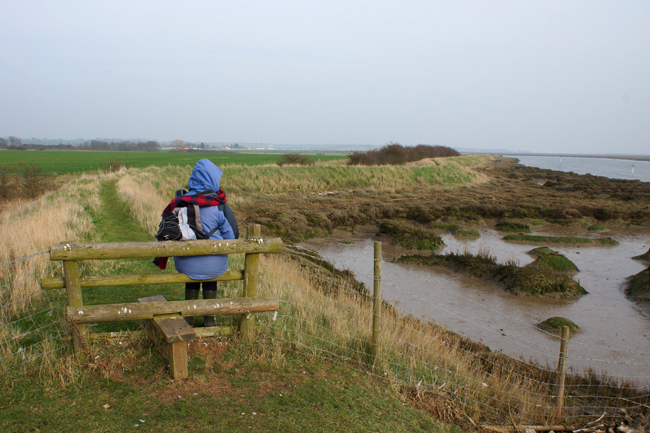 A British Island Adventure: Essex - day 4: Bridgemarsh Island