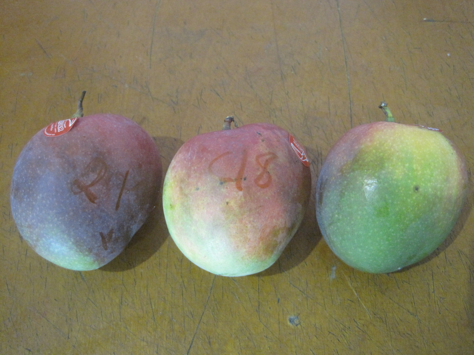 El mundo del Marine Surveyor (Capt.V.Massey): MANGOES VARIEDADES y OTRAS