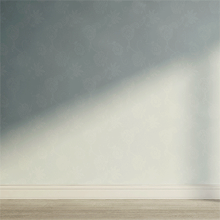 MiraRuido (Joseba Elorza). Collage | Doctor Ojiplático