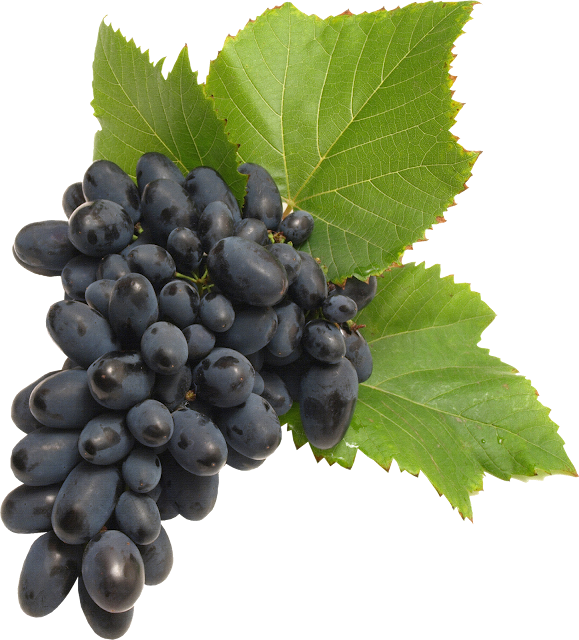 Paisagens Da Natureza: Uvas Png