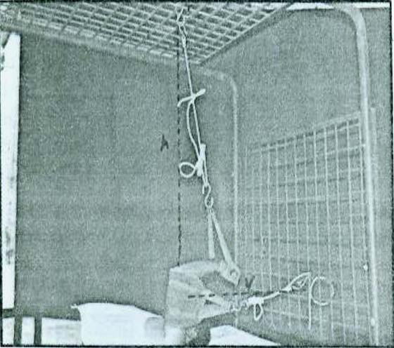 The Sciences Of Human Movements,Go Kinesiology!: SUSPENSION THERAPY