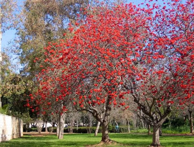 February 2013 - ARUNACHALA LAND