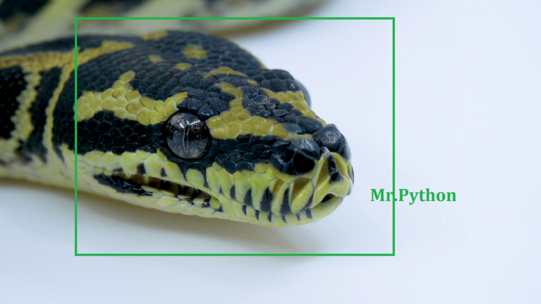 Face Detection Model On Webcam Using Python