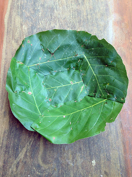 Nature Health at Home : The Health Benefits of Eating in Leaf Plates