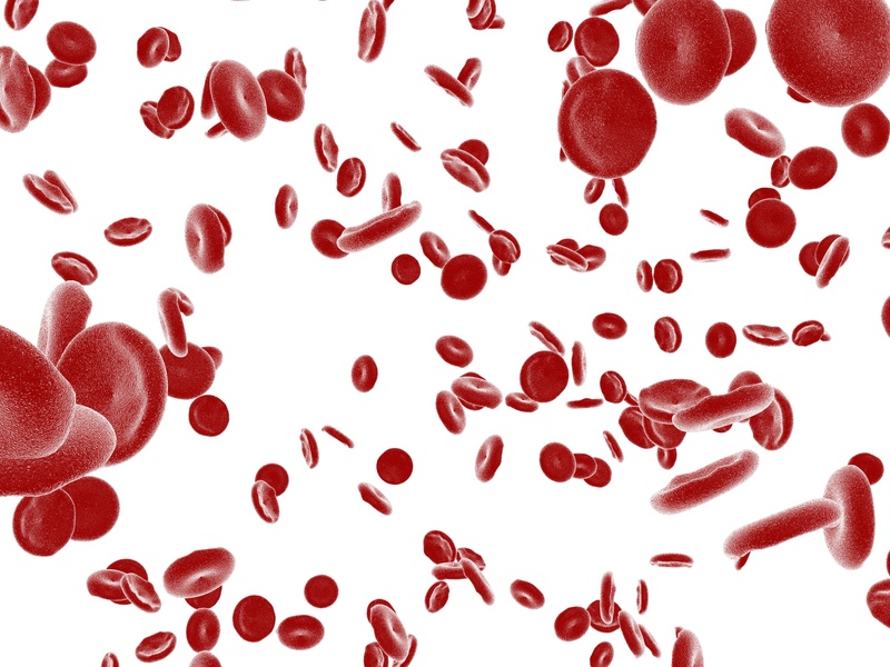 Enfermedades raras: Talasemia