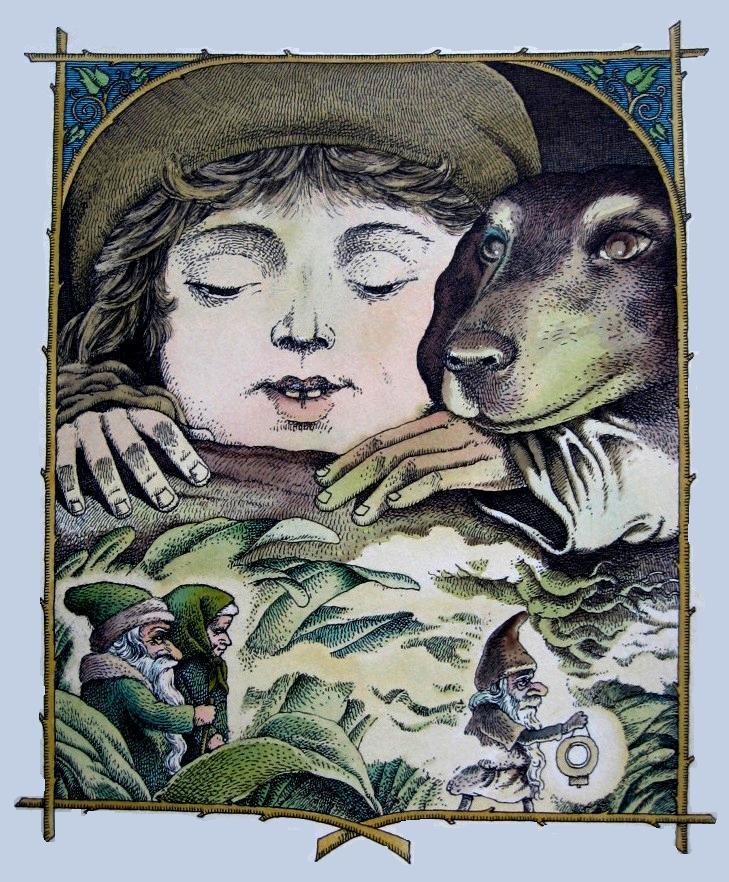 Anemone: Vasile Olac - Dumbrava minunata illustrations