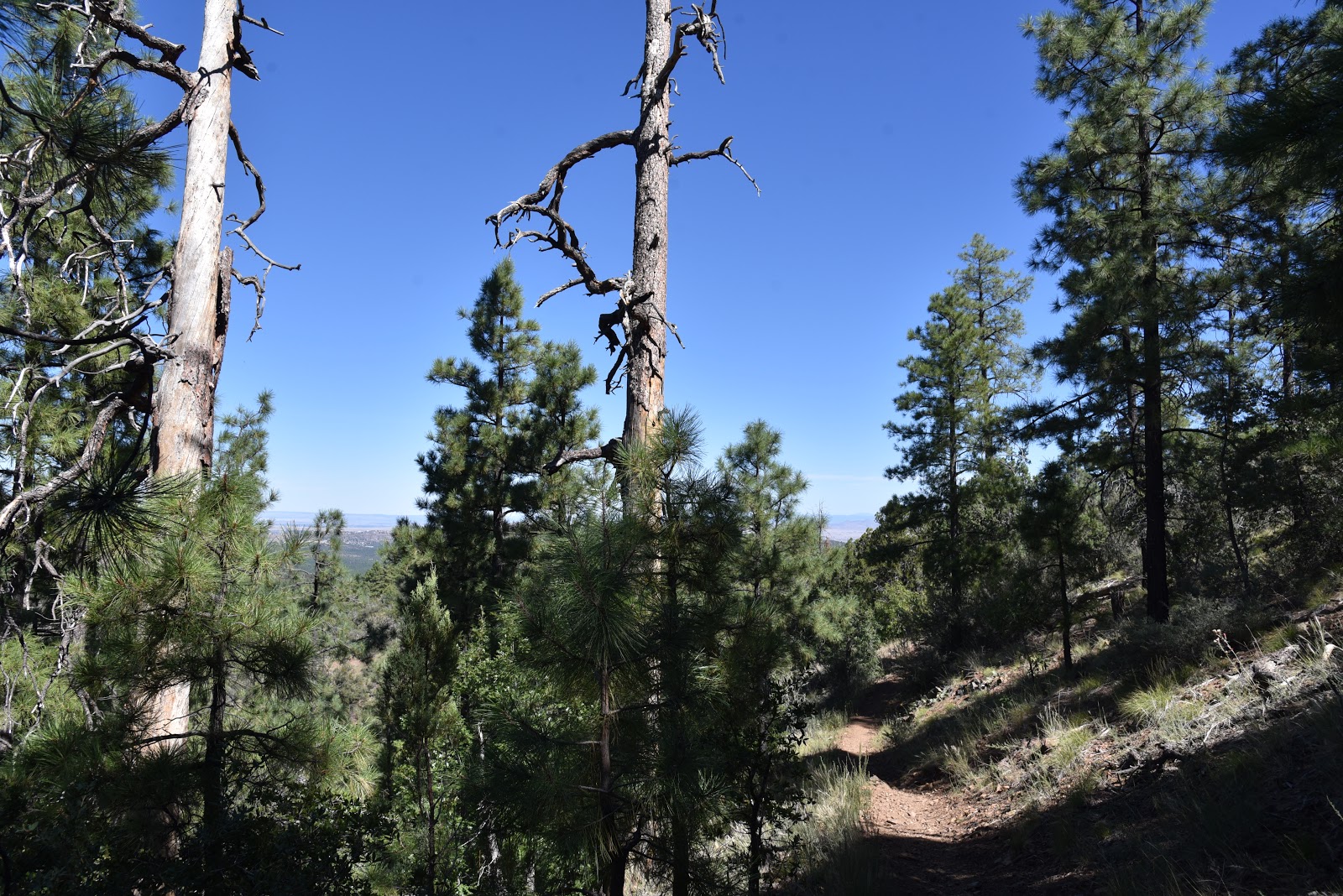 Arizona Hiking: SMITH RAVINE
