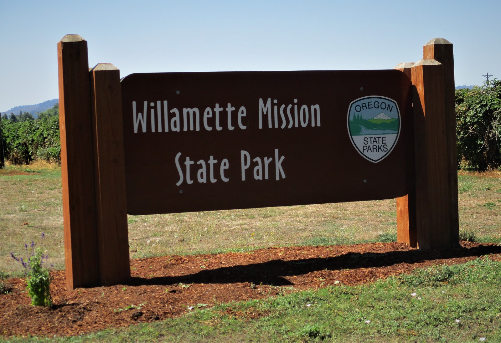 Trekking with the Bs: Willamette Mission State Park