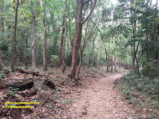 THOMMANKUTHU FALLS -THODUPUZHA-IDUKKI-KERALA ~ SOUTH INDIA TOURISM