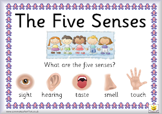 Faith's Learning Assessment: My Five Senses
