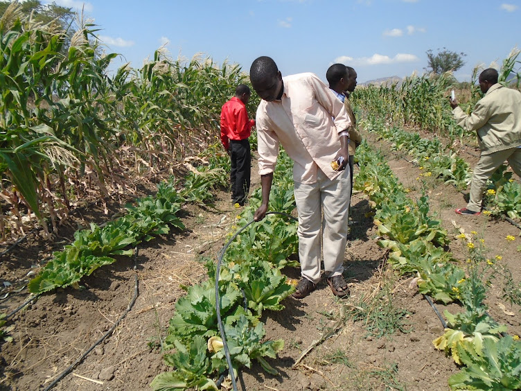 WATER DROPLET COMMUNITY (WaDCo Tanzania): Welcom to WATER DROPLET ...