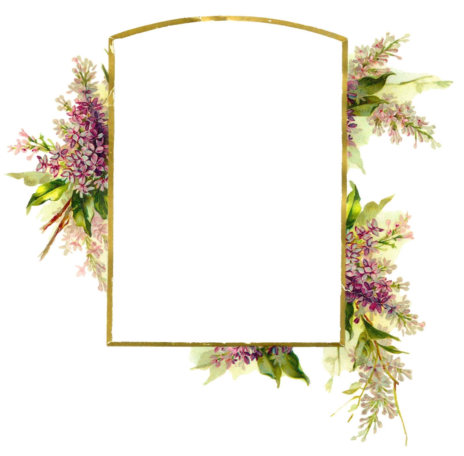 The Graphics Monarch: Royalty Free Wisteria Flower Clip Art Border ...