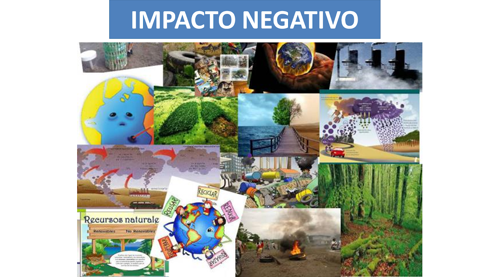 COLLAGE DEL IMPACTO DEL HUMANO EN LA NATURALEZA