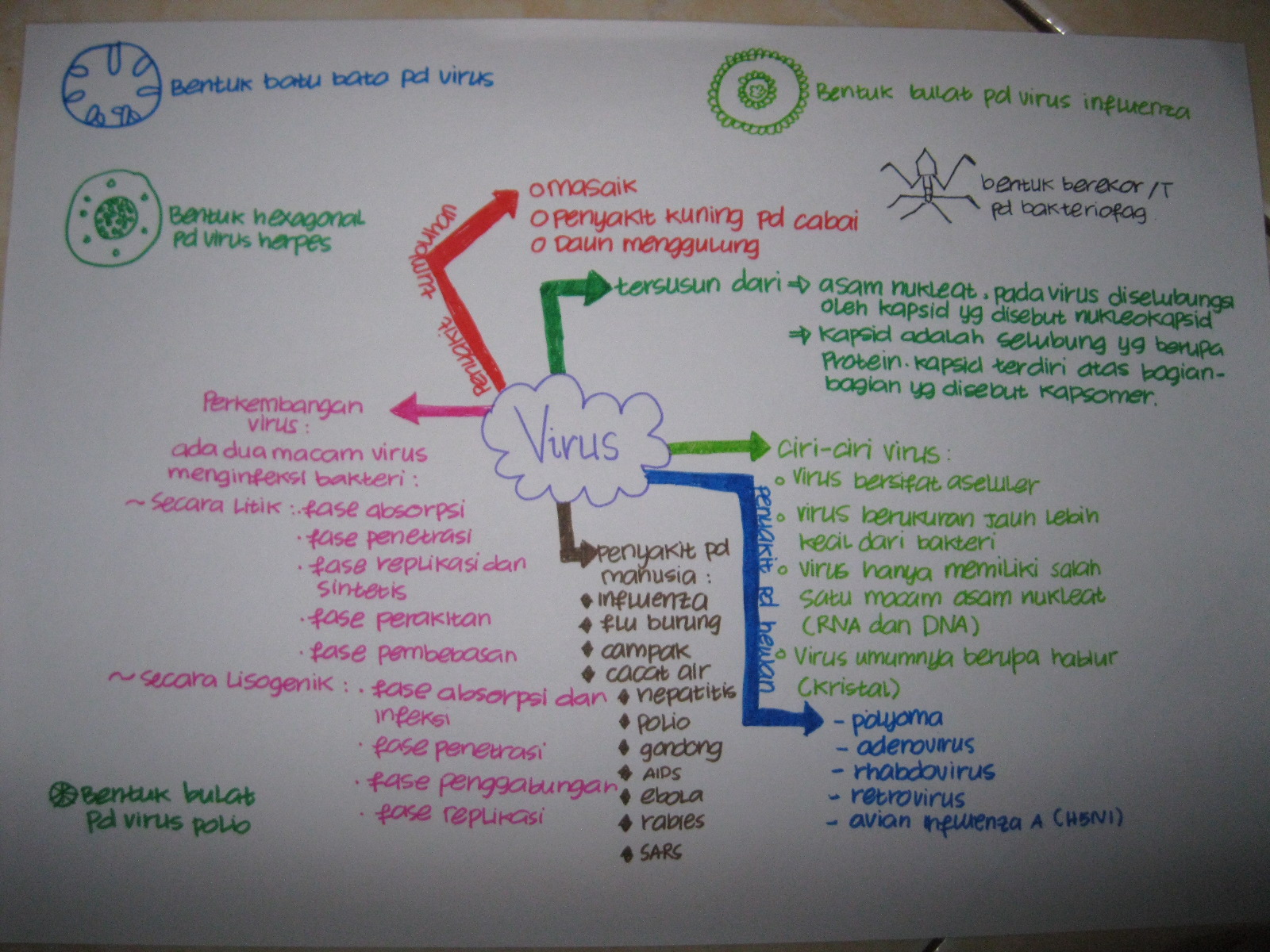 Susanti: MIND MAP "VIRUS"