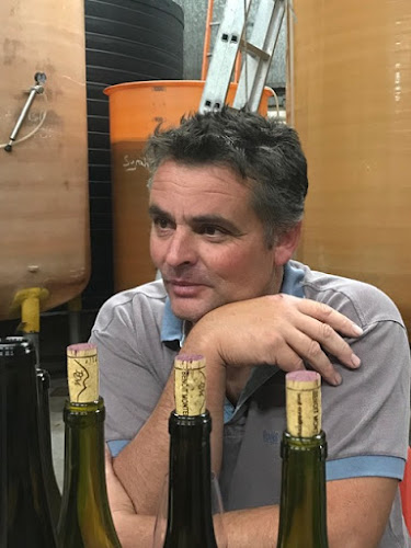 Jim's Loire: Côtes d'Auvergne: a few local eruptions.....