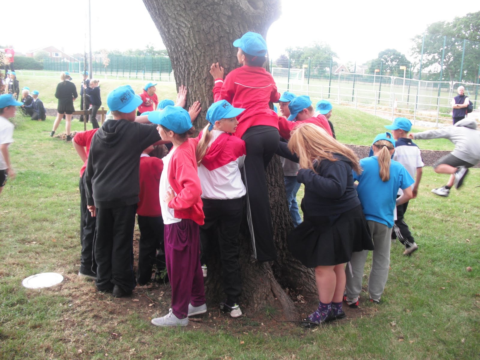 Shavington Primary School: Primary College
