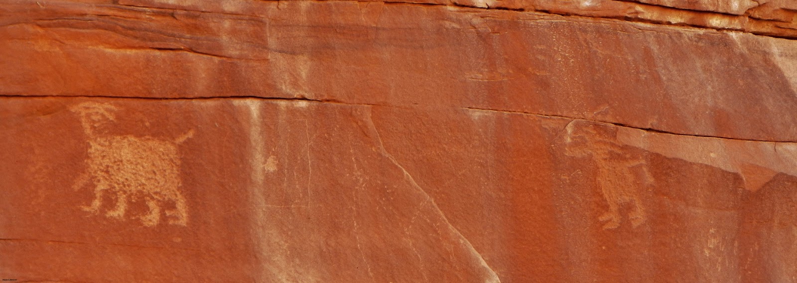 The Southwest Through Wide Brown Eyes: Wolfman Panel and Ruins - Comb ...