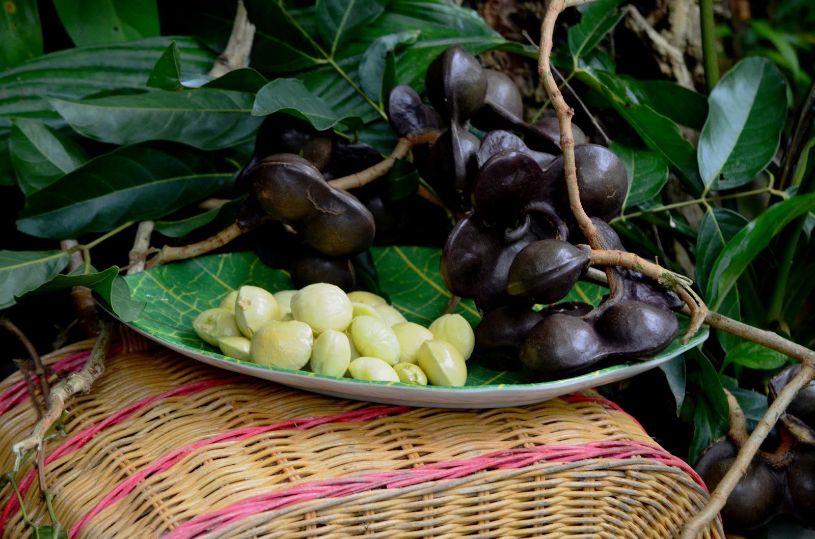 Ekor: KHASIAT BUAH JERING MAMPU MELAWAN KANSER
