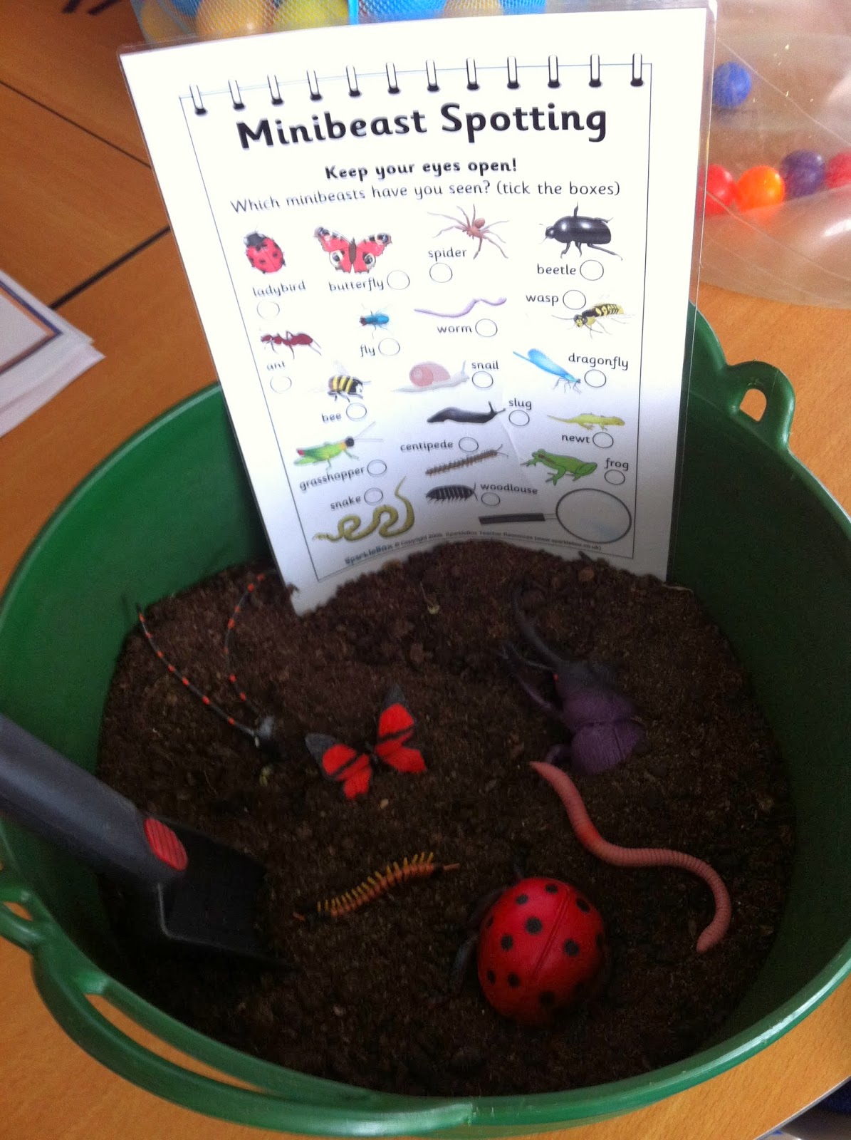 Early language skills through play.......: Mini Beast sorting
