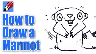 How to draw a Marmot Real Easy - Spoken Tutorial | Kumpulan Video Tutorial