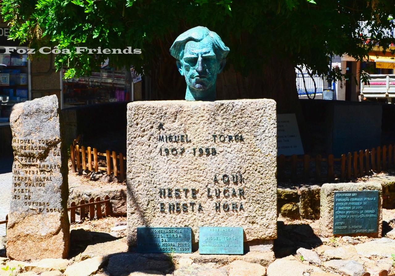 VINDIMAS – Miguel Torga ~ Foz Côa Friends Associação