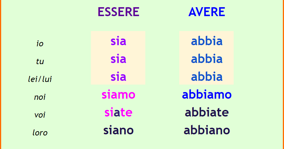 Il congiuntivo presente di ESSERE e AVERE | Italian with Nicco: Dite!