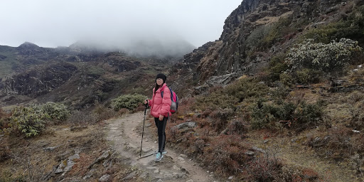 Reflections of a Bhutanese Man: Doing the Thimphu-Dungtsho Trek in One ...