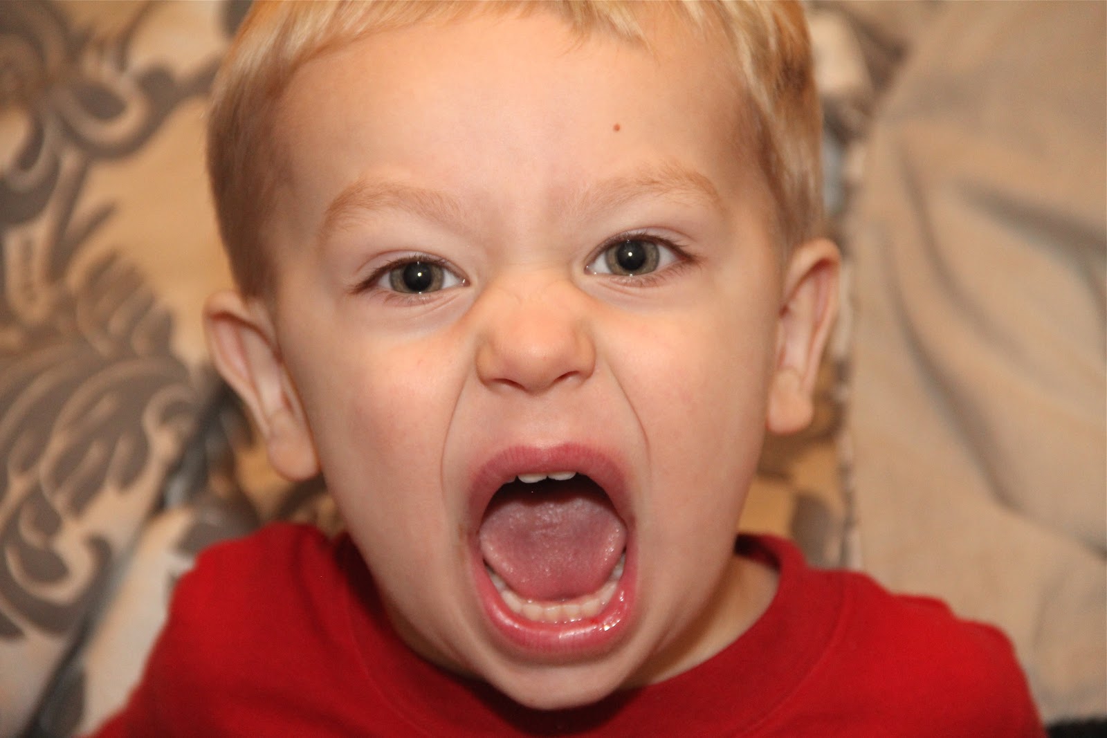 Mleynek Moments: Say Ahhh