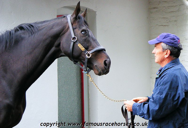 FAMOUS RACEHORSES: Monsun - Farewell to a great sire