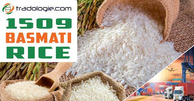 1121 Basmati Rice History and Trade Development