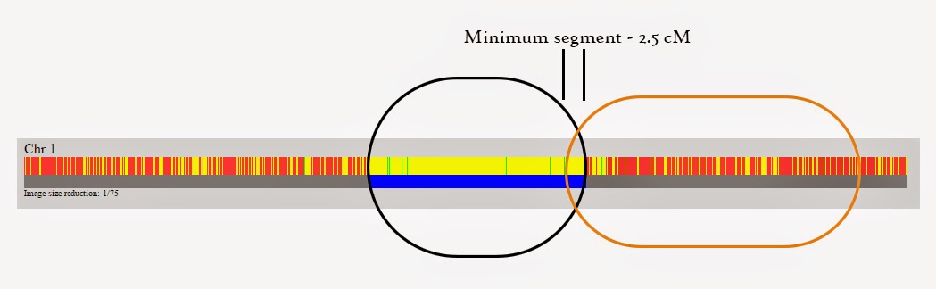 OriginsDNA - Genetic Genealogy: Breaking Through the Autosomal DNA ...