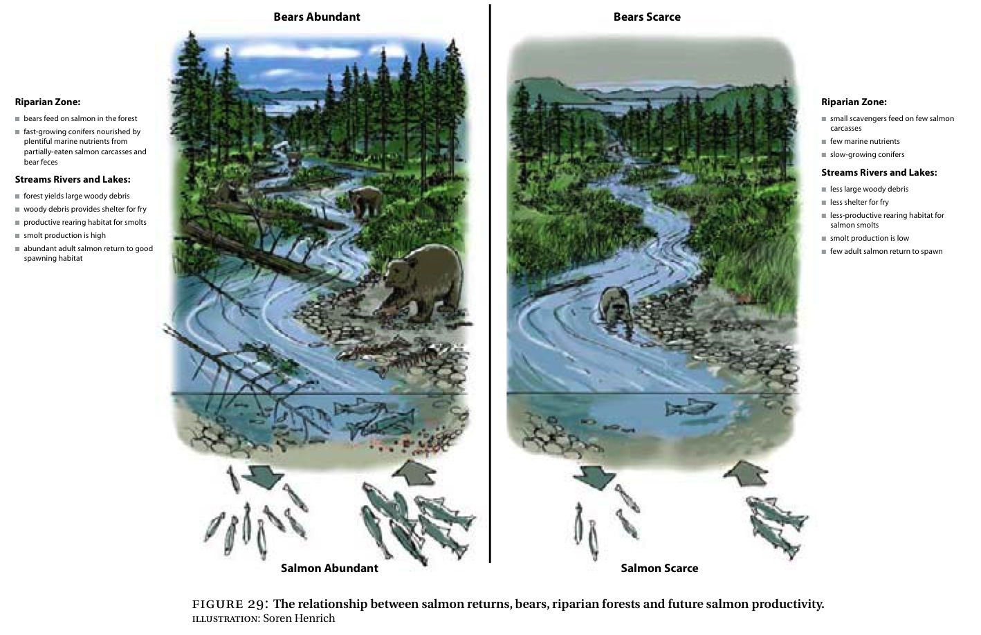 Earth's Internet & Natural Networking: Anza's Dairy & the Lessons Learned