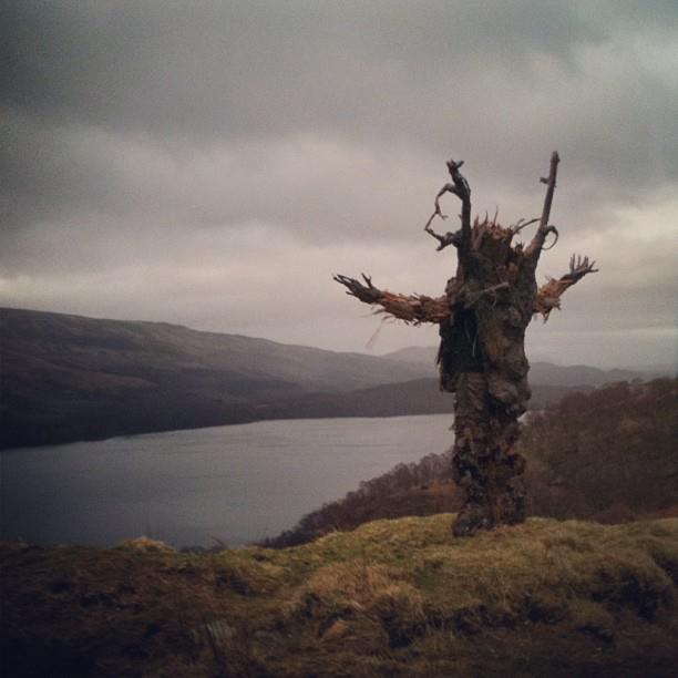 Ash Clarke: Admiral Fallow, the making of Tree Man