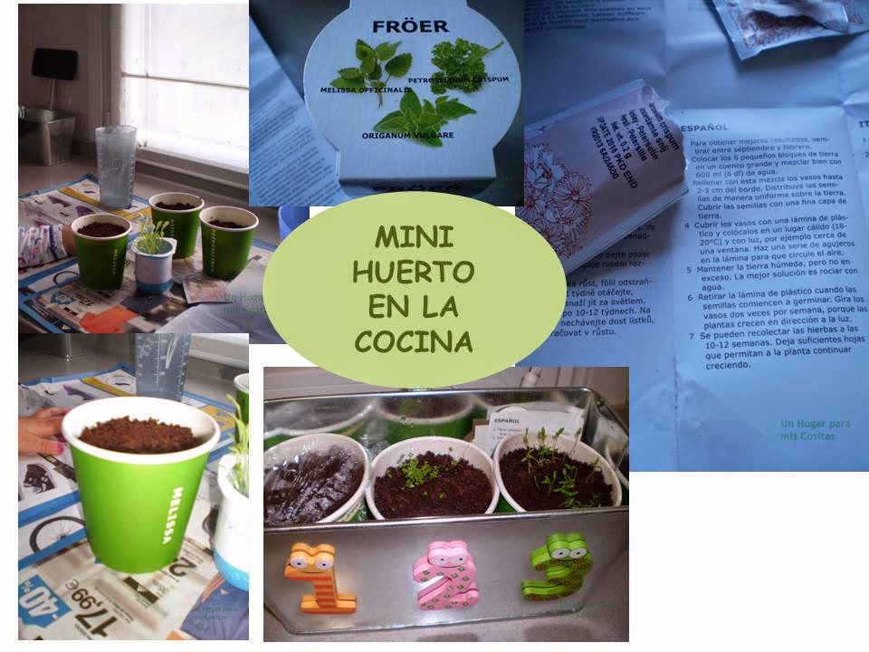Un Hogar para mis Cositas: Mini huerto en la cocina