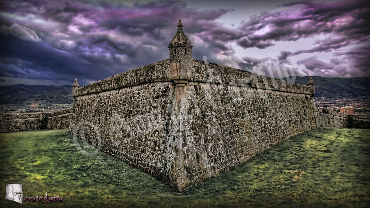 AMO DEL CASTILLO: Partes del fuerte: El baluarte