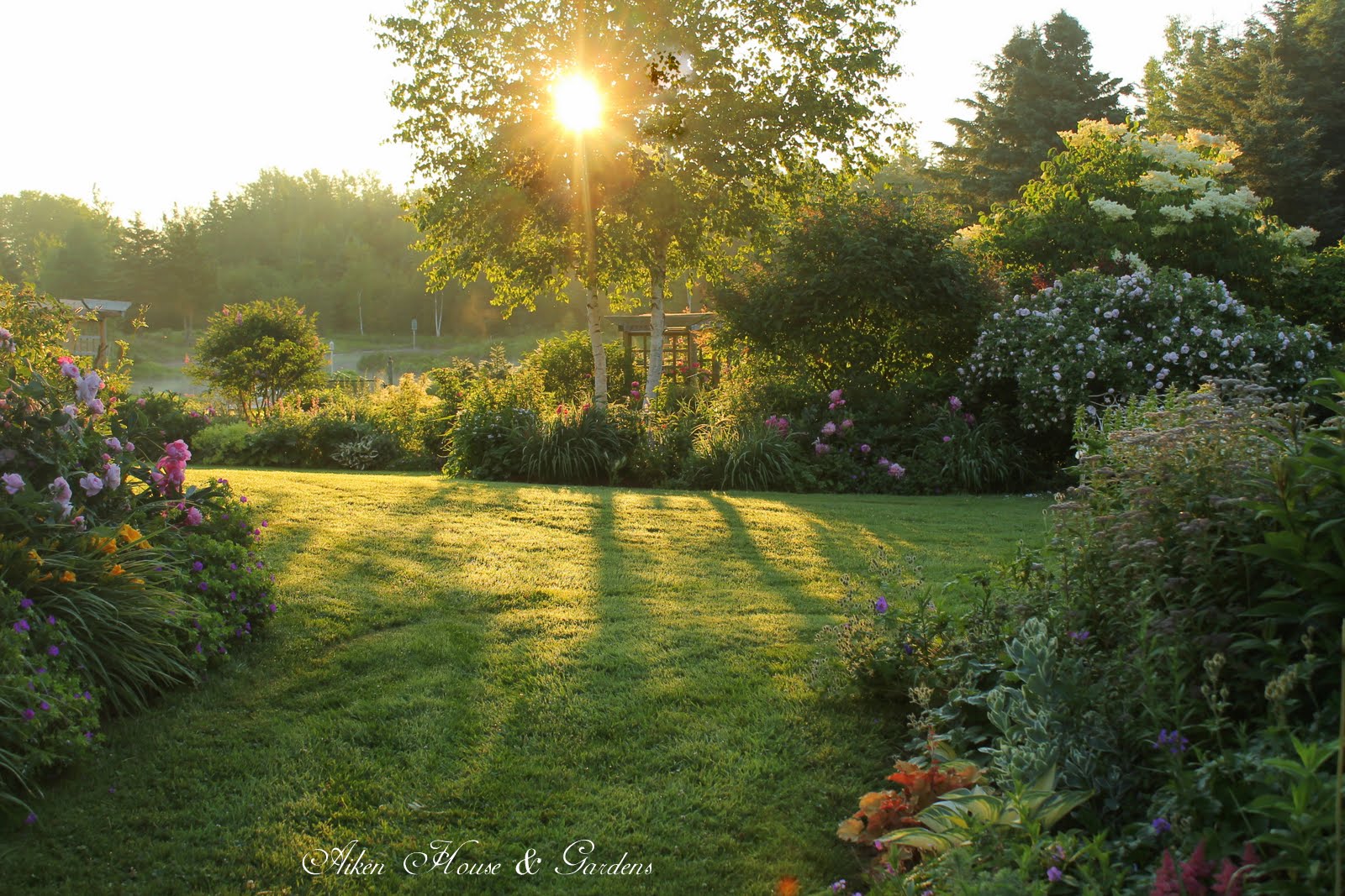 Aiken House & Gardens: Morning Light