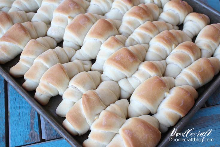 Fresh Baked Rolls from Scratch in 30 Minutes Recipe!