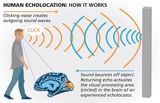 Echoes, as Explained by Dummies | The Antisocial Network
