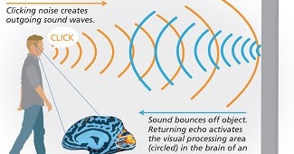Echoes, as Explained by Dummies | The Antisocial Network