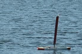 Autonomous Sailing and Sail Robots