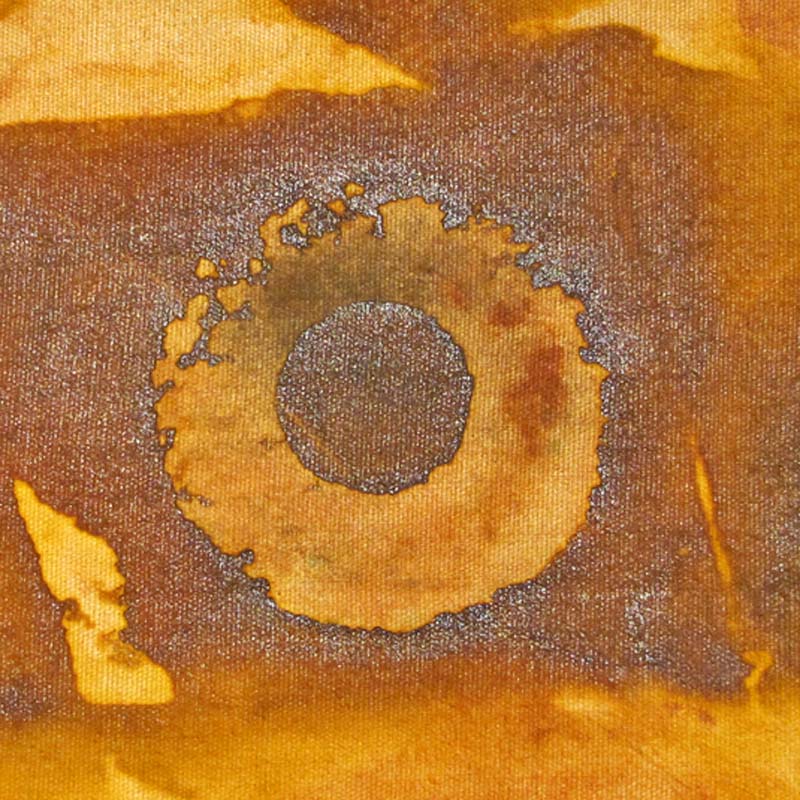 Jennifer Coyne Qudeen: December 2011