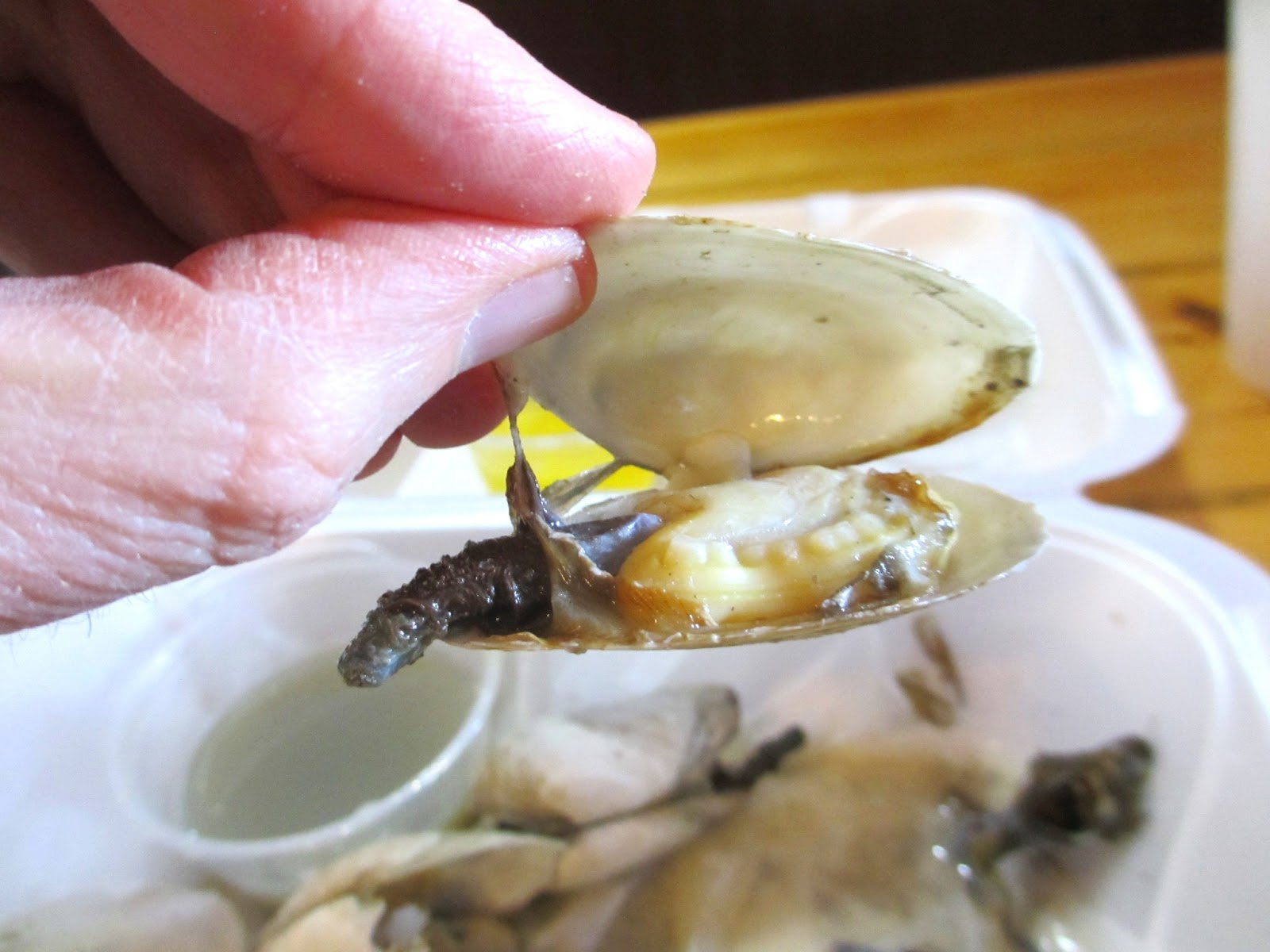 Cannundrums: Dan's Clam Stand - Crystal River