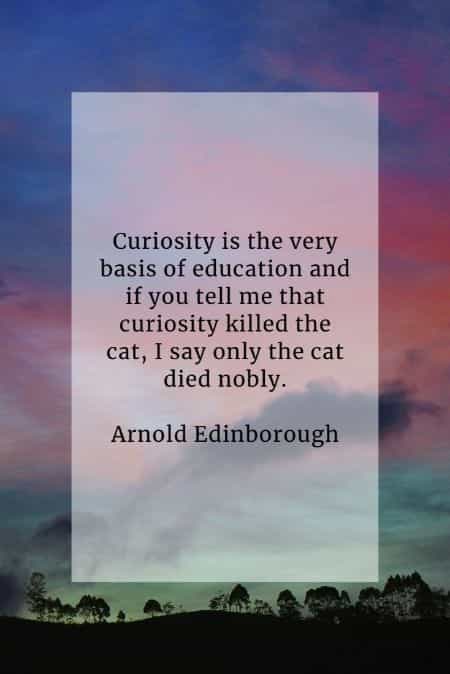60 Curiosity quotes that'll help you achieve great things