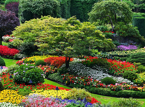 Beautiful gardens - azee