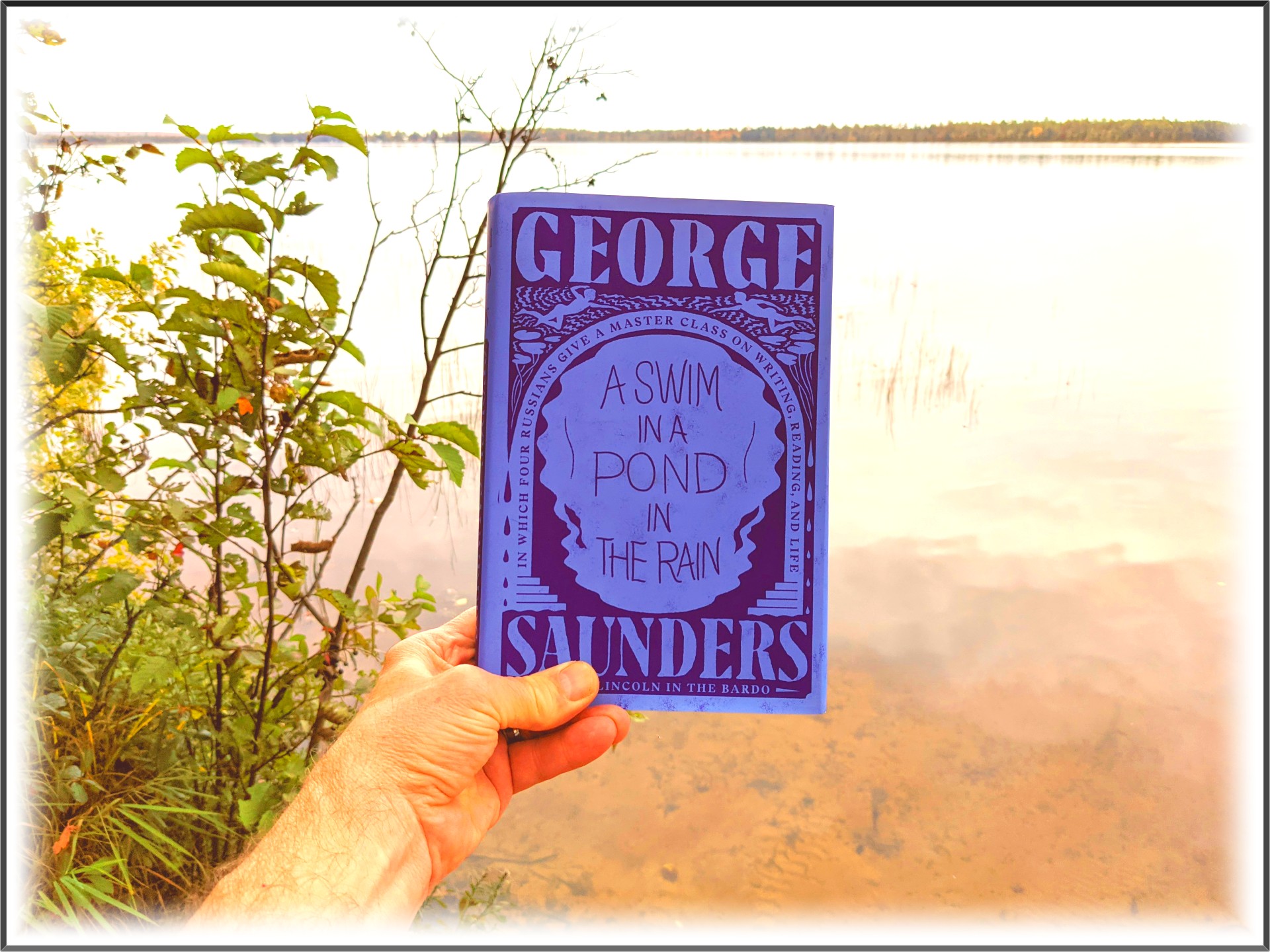 Book Review: A Swim in a Pond in the Rain