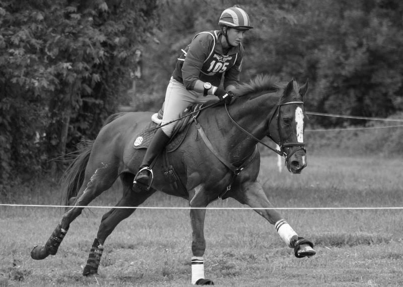 Racehorse Memorial Wall Worldwide