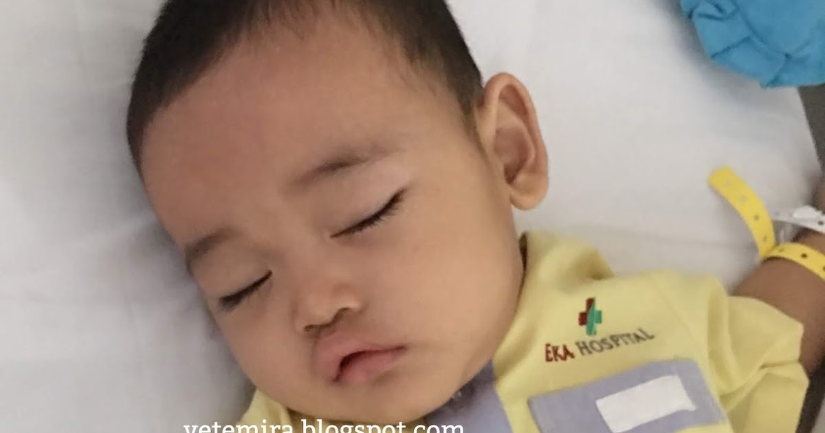 Story of My Journey: Kejang Demam dan Roseola Infantum