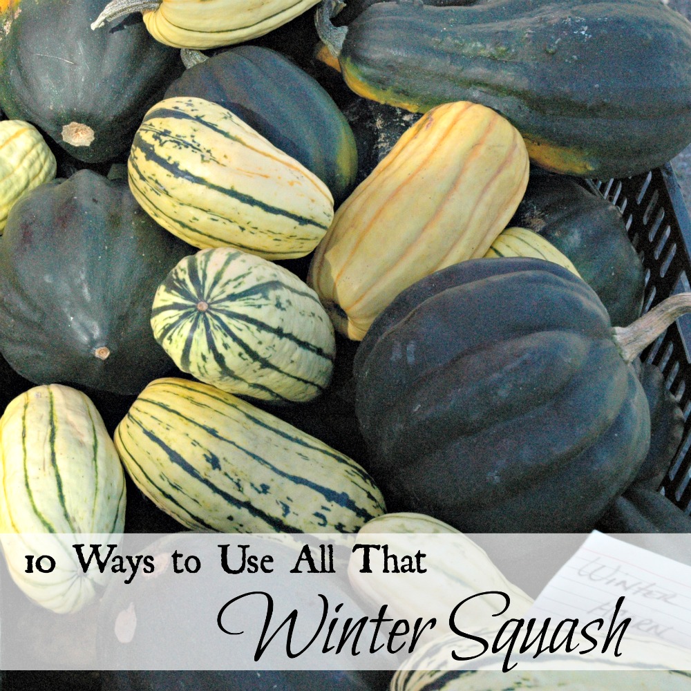 How to Use All That Winter Squash - Oak Hill Homestead